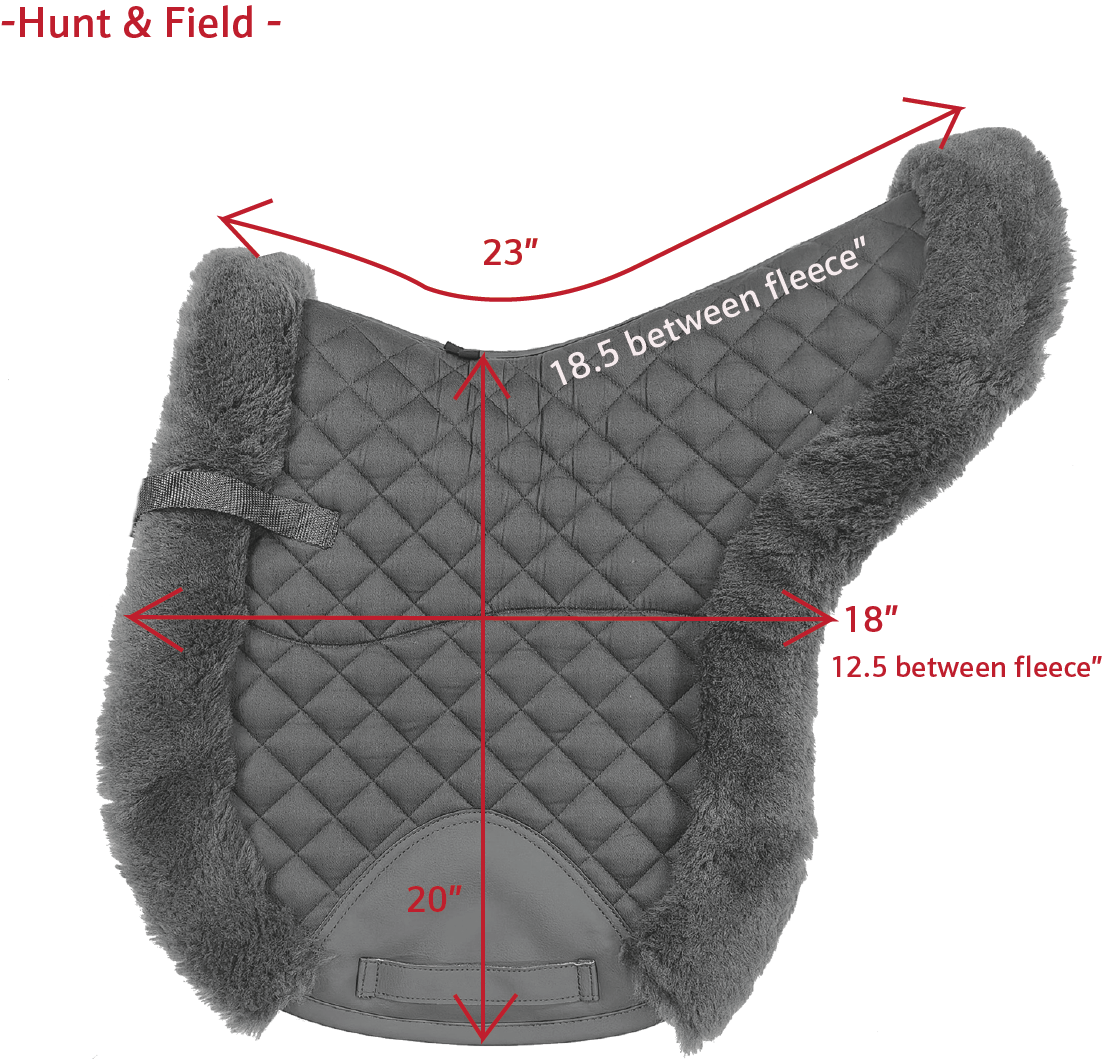 CLOSE CONTACT – Sixteen Cypress