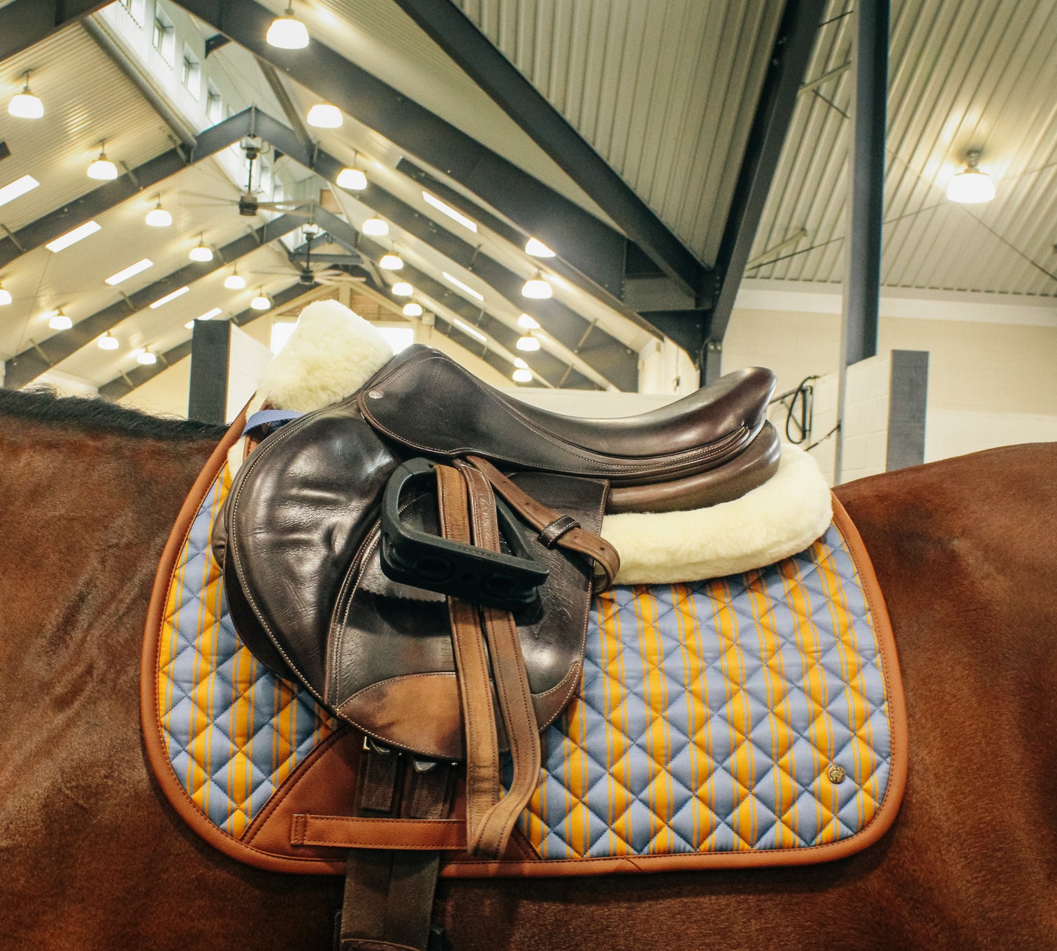 JUMPER PADS – Sixteen Cypress